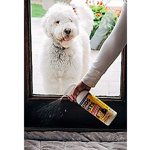 KIDS 'N' PETS - Instant All-Purpose Stain & Odor Remover – 27 fl oz - Permanently Eliminates Tough Stains & Odors – Even Urine Odors - No Harsh Chemicals, Non-Toxic & Child Safe, Multi-Color