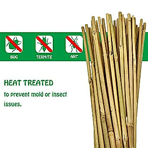 Mininfa Natural Bamboo Stakes 6 Feet, Eco-Friendly Garden Stakes, Plant Stakes Supports Climbing for Tomatoes, Trees, Beans, 20 Pack