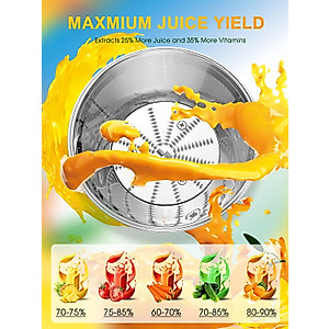 Juicer Machine, 1200W Juicer with 3" Feed Chute for Whole Fruits and Veg, Dual Speeds Centrifugal Juice Extractor, High Juice Yield, Full Copper Motor, Easy to Clean, BPA Free (Sliver)