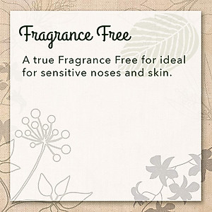 Eco-me Concentrated Muli-Surface and Floor Cleaner, 32 Fl Oz, Fragrance-Free