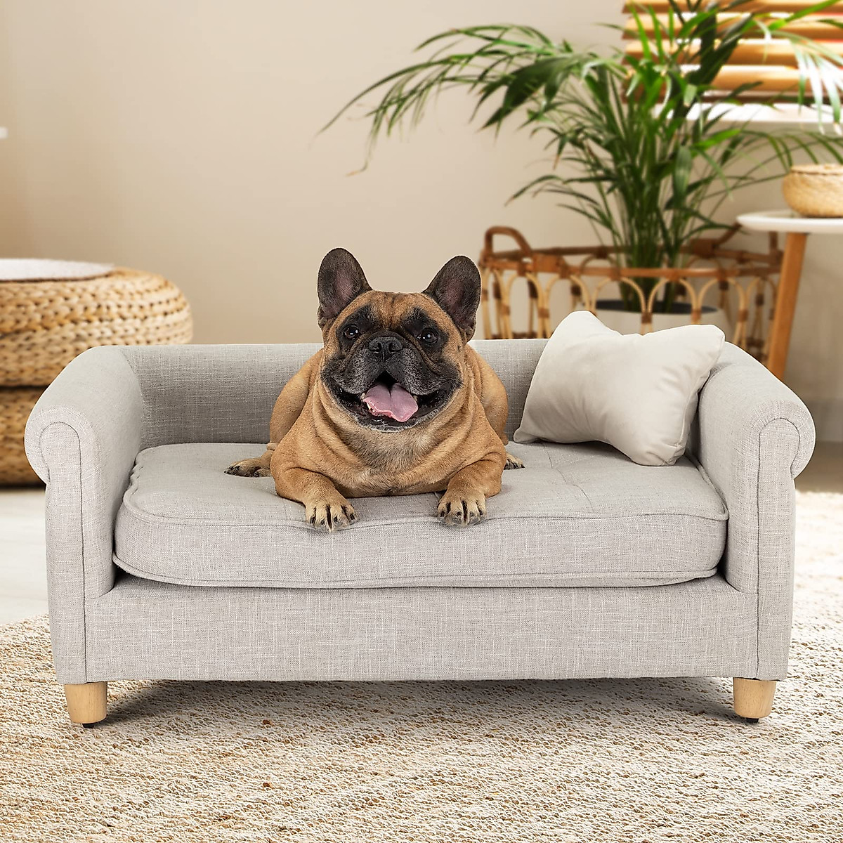 Bme Ergonomic Wicker Papasan Chair with dCee Cat Couch - Small Dog Sofa Light Gray, Soft Thick Density Fabric Cushion, High Capacity for Livingroom, Bedroom, Reading Room