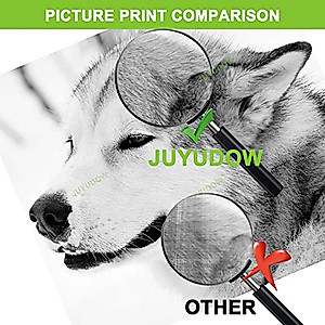 Juyudow MP C3503 Toner Cartridge Compatible for Ricoh Aficio Lanier Savin MP C3503 C3003 C3004 C3504 (4 Pack, BK, C, Y, M) Part#: 841813 841814 841815 841816 High Yield