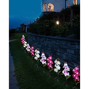 3 Pack Solar Garden Lights, Newest Version Solar Lights Outdoor Decorative, Flower Lights for Yard, Garden Decoration, Christmas Decoration Outdoor Yard