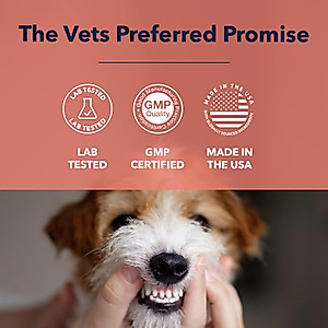 Vets Preferred Oral Care Water Additive for Dogs - Healthy Mouth Dog Breath Freshener Mouthwash - Fights Bad Breath, Removes Plaque and Tartar - Prevents Gum Disease - Mild Mint Flavor