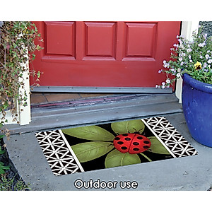 Toland Home Garden 800054 Ladybug Summer Door Mat 18x30 Inch Outdoor Doormat for Entryway Indoor Entrance