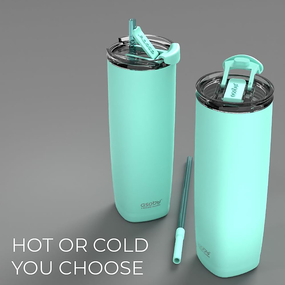 asobu Aqualina Stainless Steel Insulated Water Bottle with Interchangeable Hot and Cold Lid and Built in Straw (Mint)