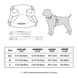 Didog No Pull Dog Harness- Adjustable Lightweight Small Harness Collar and Leash Set, Suitable for Cats Puppies Small Dogs Outdoor Training and Running (Pink, XXS)