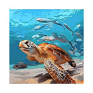 SNMUW Paint by Number for Adults, Sea Turtle Adult Paint by Number, Art Paint by Numbers for Beginner Kids, 16" x 16", Perfect for Gift Home Wall Decor