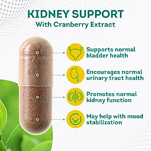 PurePremium Kidney Support Supplement with Cranberry Extract - Kidney Cleanse, Detox & Repair for Men and Women - Support for Normal Urinary Tract Health & Bladder - 2 Months Supply - 60 Capsules