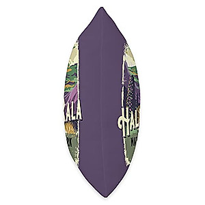 Haleakala National Park Gifts by KAEDAM Haleakala National Park Maui Hawaii Hawaiian Goose Souvenir Throw Pillow, 16x16, Multicolor