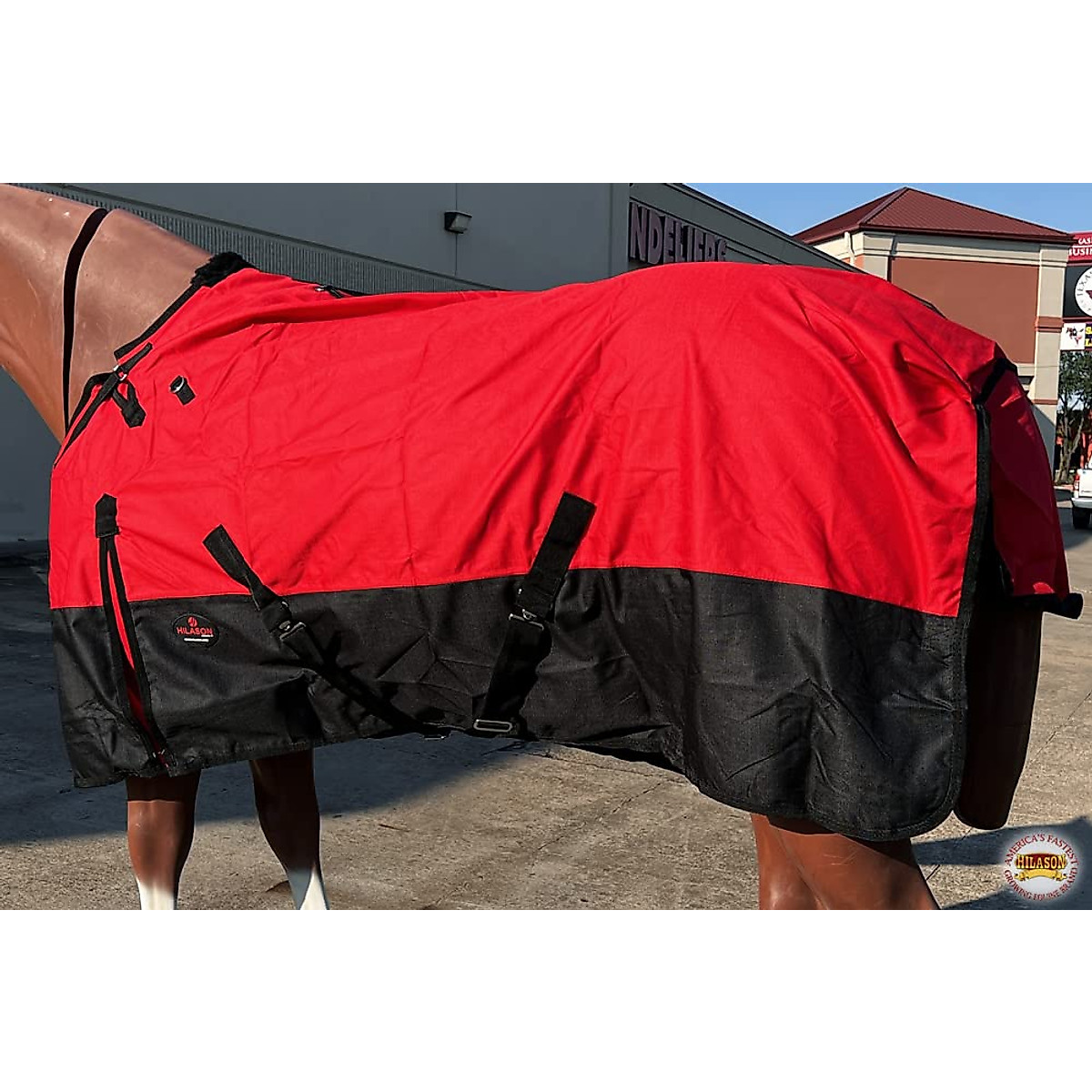 HILASON 1200D Turnout Light Winter Waterproof Rain Sheet Horse Sheet Black | Horse Sheet | Horse Turnout Sheet | Horse Sheets for Winter | Waterproof Turnout Sheets for Horses 75 in