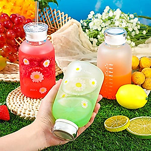 3 Pcs 480ml/16oz Cute Glass Water Bottles Reusable Aesthetic Milk Juice Water Bottles with Scale 6 Lids and 3 Straws Portable Matte Glass Cups Little Daisy Kawaii Frosted Bottles for Women Girls
