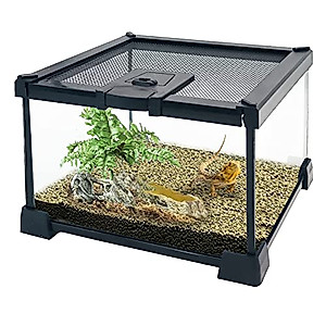Mini Reptile Glass Terrarium Tank 7.9"x7.9"x5.7" Micro Habitat Terrarium Enclosure Amphibians Tank Cage Full View Visually Appealing for Small Reptiles, Amphibians, Spiders and Other Invertebrates