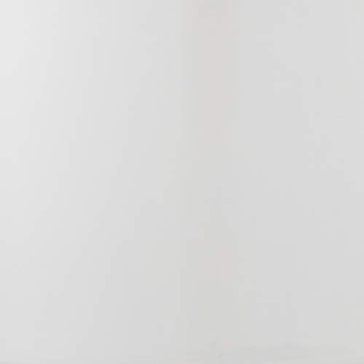 Zojirushi RDS-600 6-Liter Thermal Rice Warmer, Stainless Steel