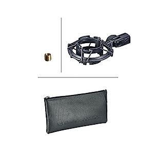 Audio-Technica AT2035 Cardioid Condenser Microphone Bundle with Pop Filter, XLR Cable, and Austin Bazaar Polishing Cloth