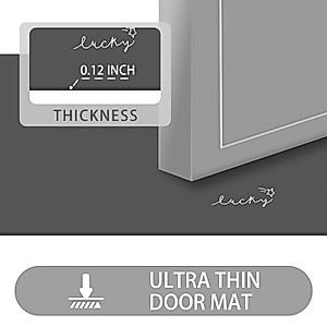 LYGLIGH Thin Door Mat Bathroom Rugs : Entryway Rugs Ultra Thin Non-Slip Absorbent Bath Mat for Front Door Entrance - Throw Rugs with Rubber Backing Machine Washable 17"×30" Black