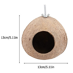 balacoo Parrot Toys Parrot Toys Bird Toy Shell Bird House Natural Hanging Bird House Bird Hut Bird Bed House Toy Cage Toy for Hamster Parrot Macaw with Screw Parrot Toys Bird Toy Bird Toy