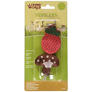 Living World Nibblers, Wood Chews, Strawberry and Mushroom on a Stick