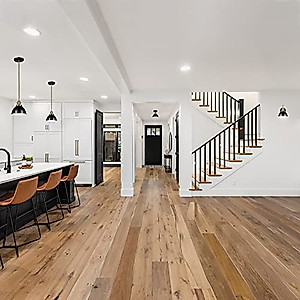 Design House 588293-BGD Savannah Farmhouse 1-Light Indoor Dimmable Wall Light Matte Black Metal Shade for Hallway Foyer Kitchen, Matte Black and Satin Gold