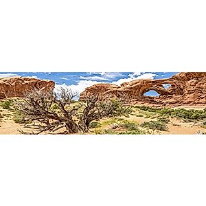 Reptile Habitat Background; Double Arch with Tree, for 36Lx18Wx24H Terrarium, 3-Sided Wraparound