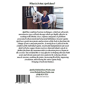 Holistic Horseworks “Level 1: Equine Musculoskeletal Unwinding” DVD Course - Certified Horse Massage Therapy Technique - Earn a Certificate of Completion - For Novice and Pro Horse Lovers