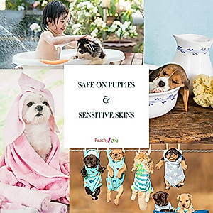 DogWash Oatmeal Pet Shampoo Deeply Cleans & Detangles, Soothes Skin Irritations That Cause Excessive Licking, Chewing & Scratching, Moisturizes & Rejuvenates Skin, Neutralizes Odors & Removes Dander