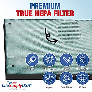 LifeSupplyUSA 3-in-1 True HEPA Air Cleaner Replacement Filter + Pre-Filter + Carbon Filter Compatible with Bissell 2521/2520 air400, series 24791 Air Purifiers
