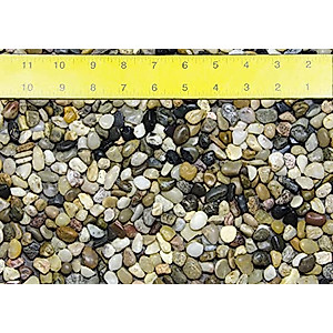 Calibonsai 3 Lbs. Decorative Pebbles for Bonsai Humidity Tray, Top Dressing, Lucky Bamboo & Zen Garden
