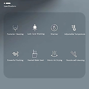 Automatic Flushing, Manual Flipping, Modern Classic Elongated with Dryer, Warm water, Foot Sensor Operation, Heated Bidet Seat, Tankless Smart Toilet with LED Display