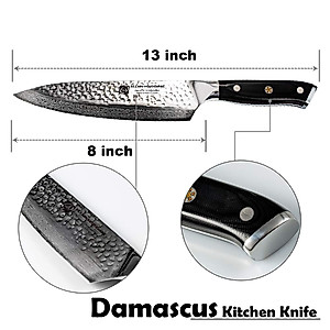 Premium 8 Inch Damascus Chef Knife, VG10 Super Steel 67 Layer High Carbon Stainless Steel Kitchen Knife with Full Tang Handle