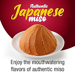 Fusion Select Organic Red Miso Paste - Made of Fermented Soy Bean & Rice - Savory Japanese Seasoning For Cooking Soup Base, Broth, Stew, Salad Dressing, Sauce, Marinade, Ramen - 15 Servings, 300g