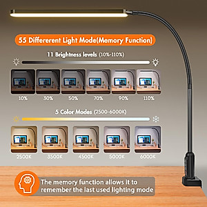 BIENSER LED Desk Lamp with Clamp, Super Bright, 11 LED Lights, 5 Color Modes, Flexible Gooseneck, Eye-Caring, Black, Metal & Silicone, Office Reading Lamp