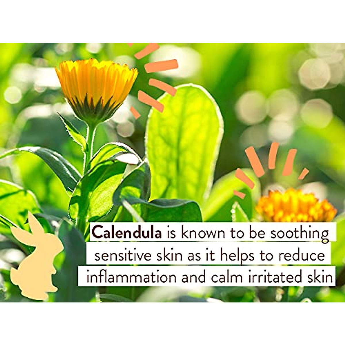 Babo Botanicals Sensitive Baby Fragrance-Free 2-in-1 Bubble Bath & Wash - Shea Butter, Calendula & Oat - Vegan - EWG Verified - For Babies & Kids