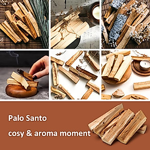 LA BELLEFÉE Wax Melts Wax Cubes Palo Santo Scented, Handmade Natural Soy Wax Cubes for Wax Warmer - Long Lasting Fragrance for Home, Ideal for Stress Relief, Spa, and Aromatherapy (2.5oz/70.9g*2)