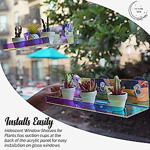 Iridescent Window Shelf for Plants, 2 Acrylic Window Mounted Shelves, Plant Window Shelf For Bathroom, Shower & Kitchen, Rainbow Iridescent Decor Modern Acrylic Suction Cup Window Ledge Plant Shelf