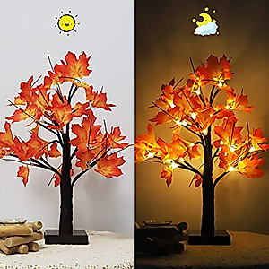 Lighted Maple Tree Thanksgiving Decorations, 24LED Tabletop Tree Lights Artificial Bonsai Tree Lamp Fall Centerpieces for Tables, Autumn Christmas, Halloween, Fall Decor for Home Warm White