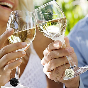 PheiLa Wine Glass Drink Markers for Cocktails Martinis Champagne Flutes, Wine Tasting Party Decoration Supplies Gift,