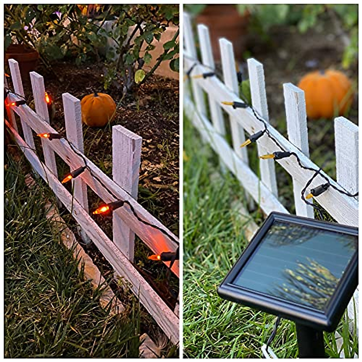 DecoBrite Halloween Solar Purple String Lights Outdoor 21ft (6.3m) 50 ct LED Mini Lights on Black Wire for Garden Tree Yard Patio Party Decoration (Purple)