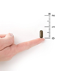 Garden of Life Primal Defense HSO Probiotic Formula - Vegetarian Blend of 12 Probiotics for Gastrointestinal Balance - Acidophilus, Lacto and Bifido Strains, Gluten Free - Value Pack - 216 Caplets