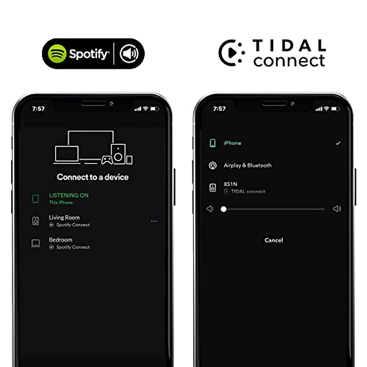 Wiim Mini Airplay 2 Music Streamer, WiFi & Bluetooth Multiroom/Multizone Audio Receiver Within Spotify/Tidal Connect & 192khz/24bit Hi-Res Audio, Works with Siri & Alexa Voice Assistant.