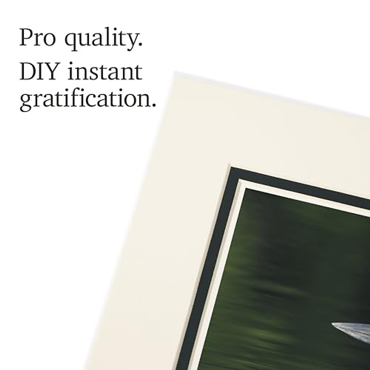 Lantern Press 11x14 Inch Matted Art Print Wall Decor, Loon and Chick