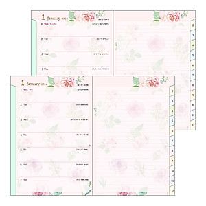 Midori Pocket Diary 22256006 Weekly Planner, 2024, B6, Cat Pattern, Starts January 2024 (country time floral pattern)
