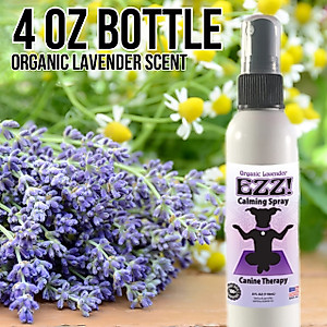 Mold Monster EZZ! Canine Calming Spray- Organic Lavender Aromatherapy Dog Calming Aid - Safely Soothe Your Dog with EZZ- 4 oz