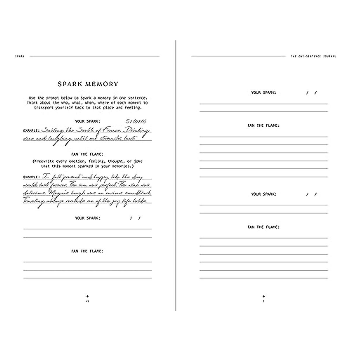 Spark: The One-Sentence Journal