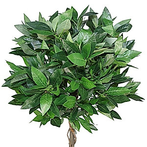 Leaf Artificial Topiary Bay Laurel Tree Ball Style Plain Stem in Black Plastic Pot, 120cm (4ft) Twist, Youth Large / 11-13