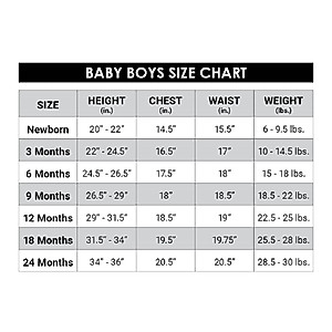 Levi's Baby Boys Hoodie, Pebble Grey, 12M