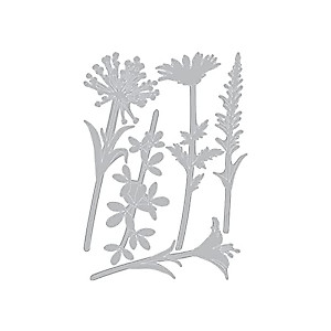 Sizzix Thinlits Die Set , Wildflower Stems #2 by Tim Holtz, 5 Pack, One Size, Multicolor 5 Piece