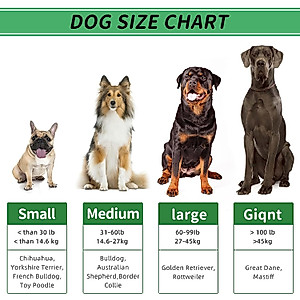 Pamlulu Christmas Dog Gifts, Dog Toys for Small Dogs Dog Toothbrush for Teething Cleaning, Rubber Dog Squeaky Toys for Puppy