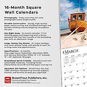 Beaches | 2024 12 x 24 Inch Monthly Square Wall Calendar | Foil Stamped Cover | BrownTrout | Travel Nature Tropical