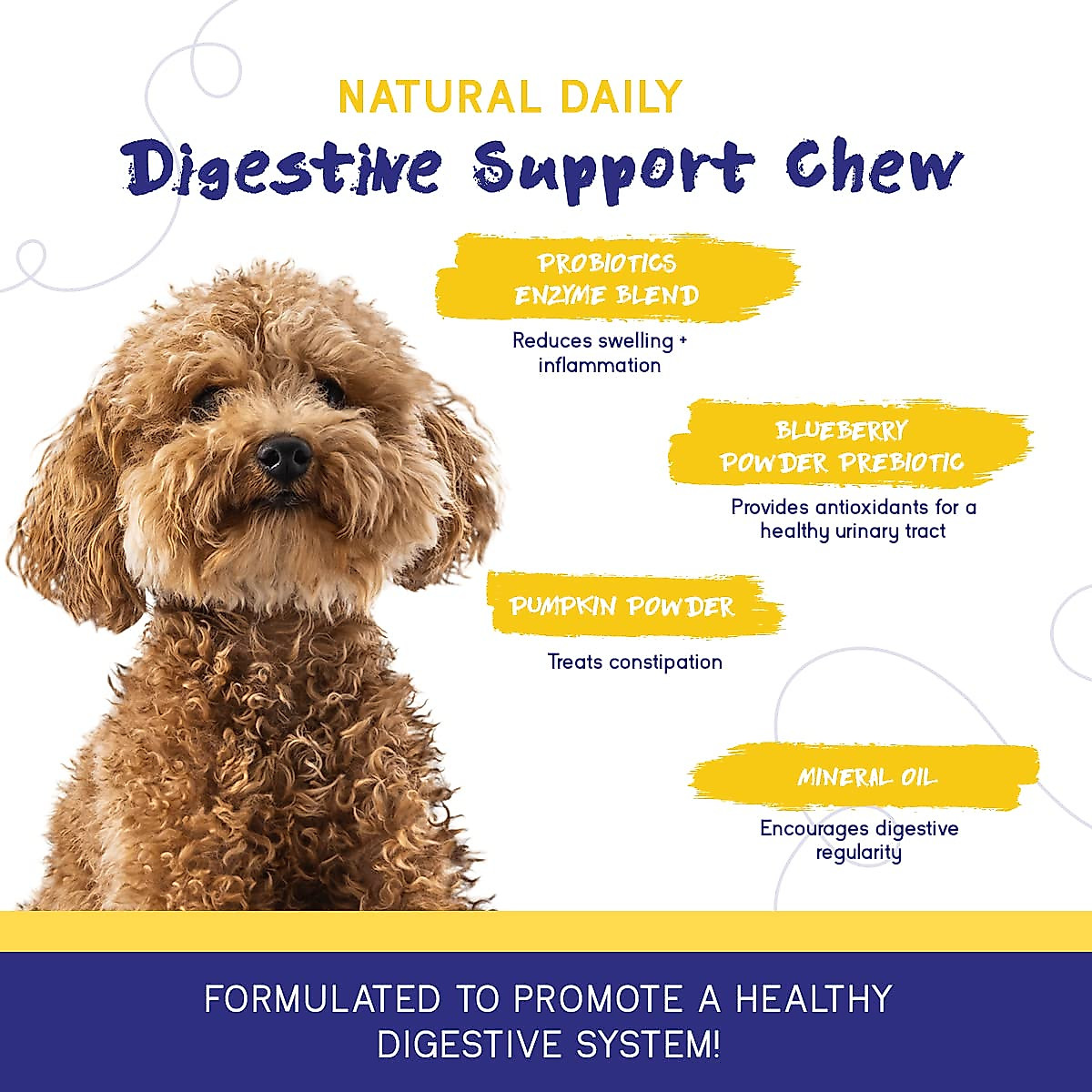 PupGrade 2-Pack Daily Multivitamin & Digestive Support Supplement for Dogs - All-in-One Formula for Digestive, Immune System, Skin & Coat Health- with Probiotics, Prebiotics, Enzymes - Made in USA - 9